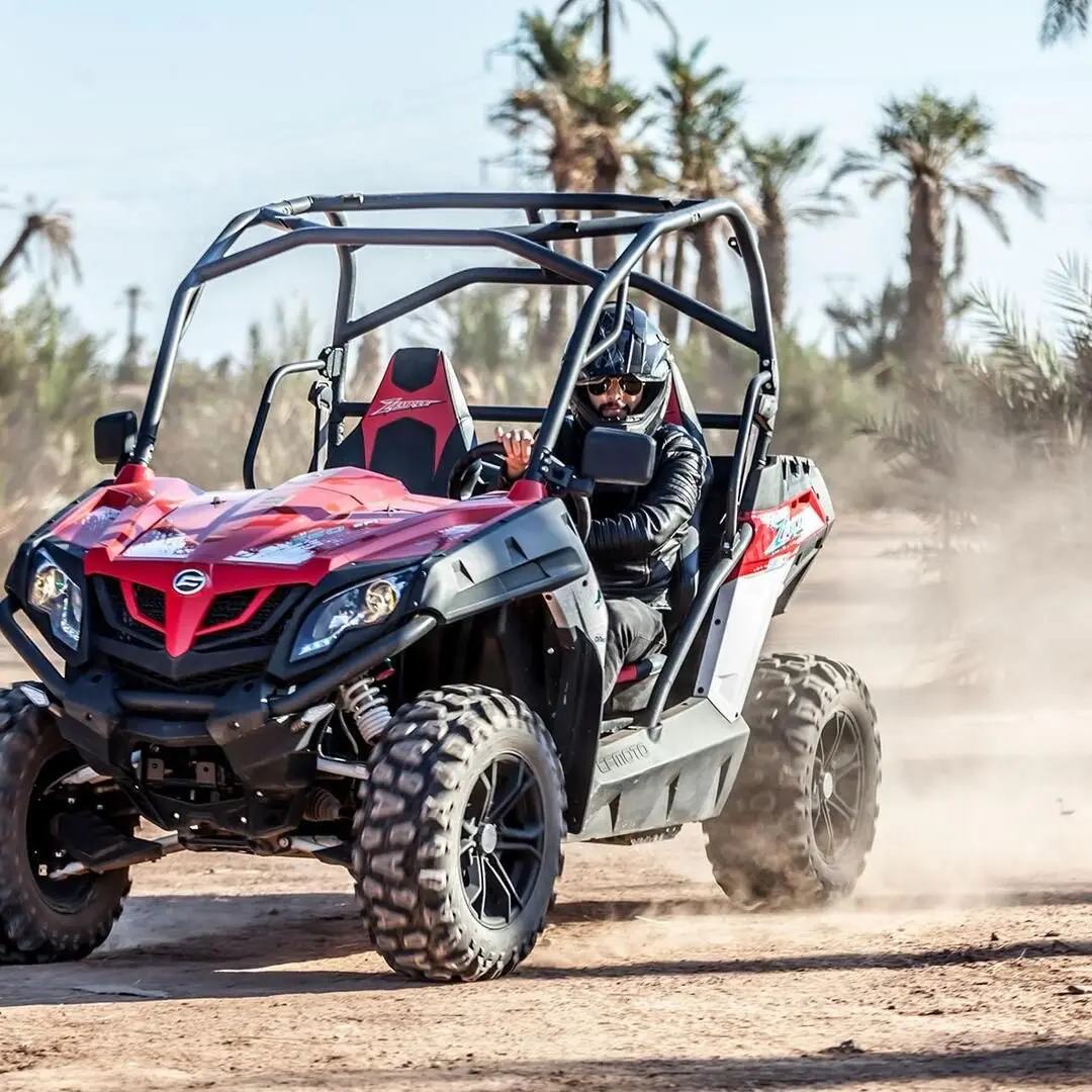Buggy Riding in the Palm Trees and Desert of Marrakech - Quad Biking in ...